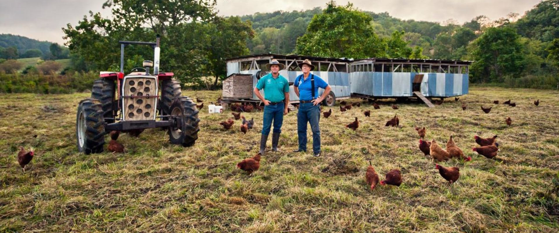 The Enduring Legacy of Agriculture in Fairfax County, Virginia